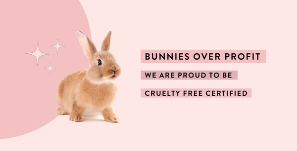 A Pledge to Our Furry Friends – Moroccan Magic